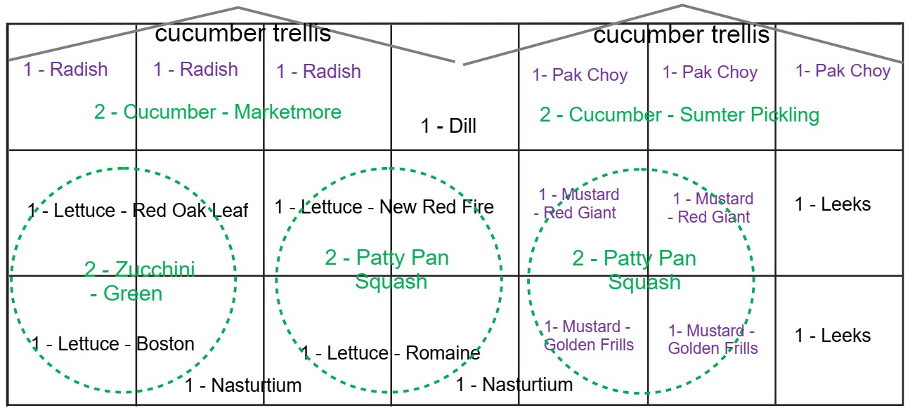 Succession Planting Chart Zone 6 The Growing Zone Guide Planting