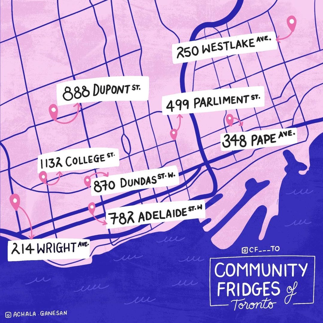 Thinking Outside the Foodbank Box - The Backyard Urban Farm Company