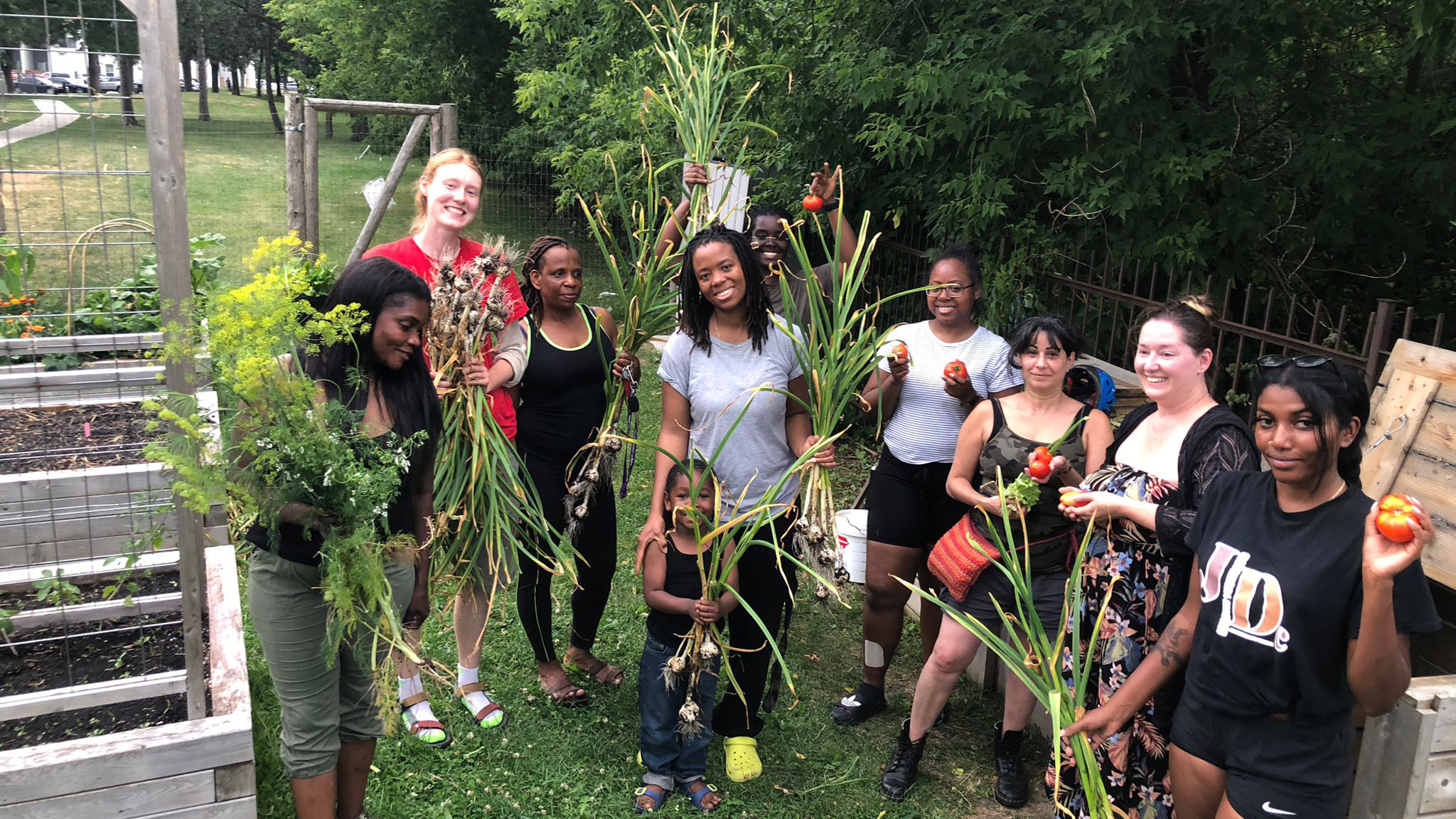 The Changing Face of Community Gardens - The Backyard Urban Farm Company